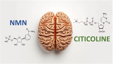 Citicoline