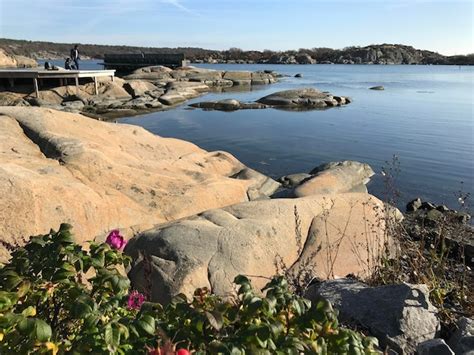 Page Bella Poarch Images Free Download On Freepik