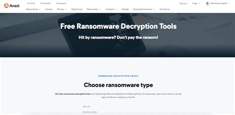 8 Best Ransomware File Decryptors For 2024