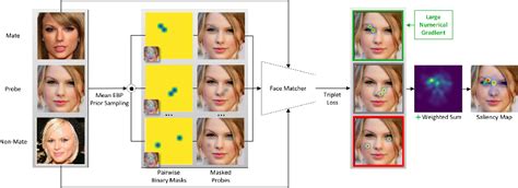 Explainable Face Recognition