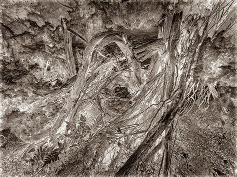 Martin Liebermann Flickr