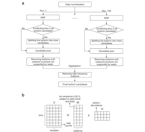 A Diagram Of The Nmfp Method B Illustration Of The Nmf Approach In