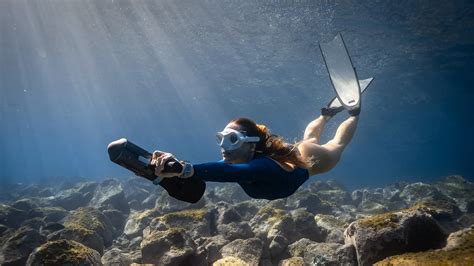 Best Time To Dive In The Sea Of Cortez Asiwo Sports