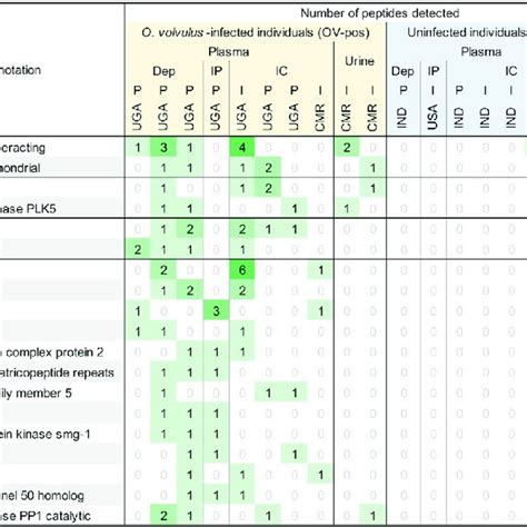 Conservation Of The 19 Prioritized Proteins Based On Orthofinder Download Scientific Diagram