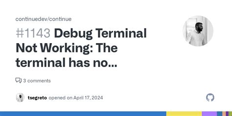 Debug Terminal Not Working The Terminal Has No Selection To Copy · Issue 1143 · Continuedev