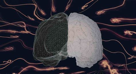 Psychedelics Can Quickly Reorganize Our Brain Functions Offering Promise For Lasting