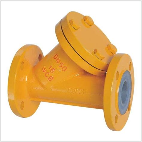 Pfa Fep Lined Y Type Strainer