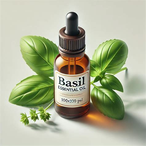 Basil Essential Oil Essential Oils Guide