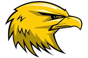 Del Oro Jr Golden Eagles