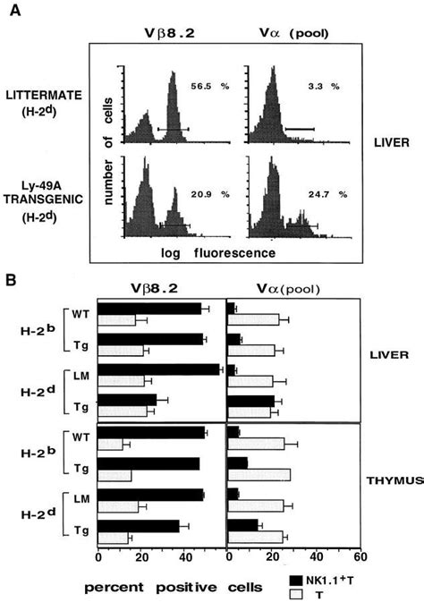 Altered Tcr Repertoire Selection In Nk11 T Cells From H 2d Ly 49a