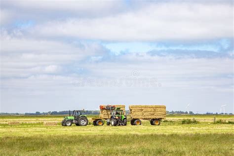 Harvesting Silage Bales Of Compacted Grass Stacked On A Trailer By A