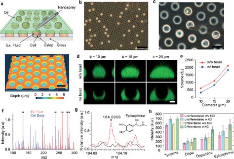 Single Cell Metabolic Secretomics By Micro Well Array And Mass