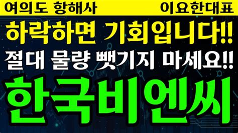 한국비엔씨 하락하면 기회입니다 Youtube