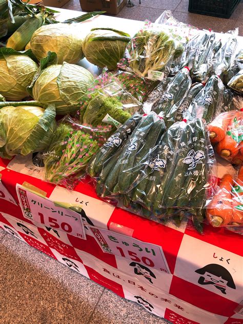 【横浜農場・ハマっ子】横浜市役所（新市庁舎）での横浜野菜の直売について！ 横浜情報ばこ