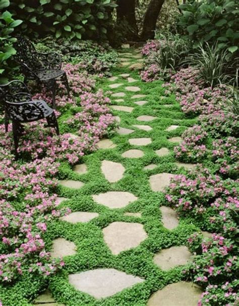 Stepables Perfect Plants For Paths And Walkways Garden Paths Ground