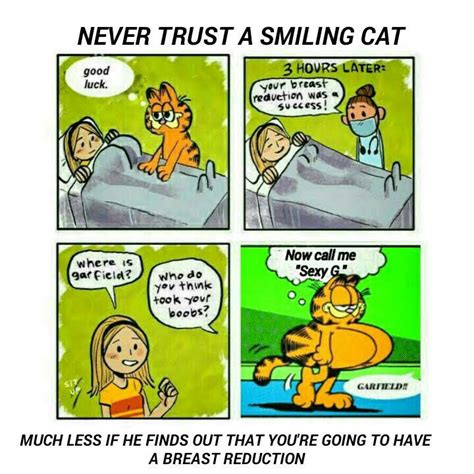 A Breast Reduction With Garfield Alternate Ending R Garfriends