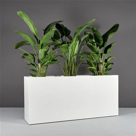 Contemporary Fiberglass Planters