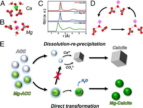 Shape Preserving Amorphous To Crystalline Transformation Of Caco3 Revealed By In Situ Tem Pnas
