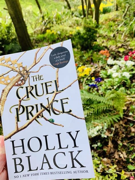 The Cruel Prince Cruel Holly Black Books