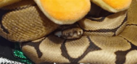 Shaders Caves Please I Want To See The Other Side Of The Cavern Which Is Too Big For A Torch