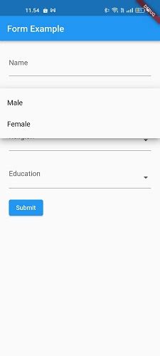 Cara Membuat Dropdown Select Input Di Flutter Sahretech