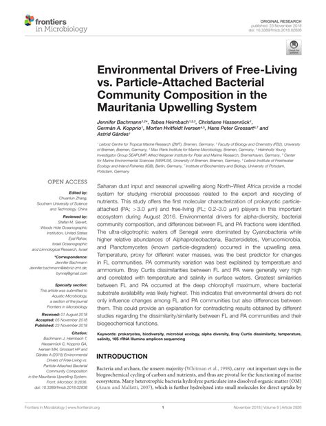 Pdf Environmental Drivers Of Free Living Vs Particle Attached