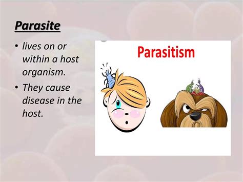 Host Parasite Relationship Pptx