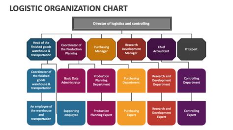 Logistics Organization Structure Examples Organization Chart Imagessupply Chain Organization Chart