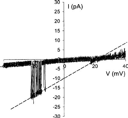 Single Channel Currentvoltage Relationship Recorded In Asym Metrical Download Scientific