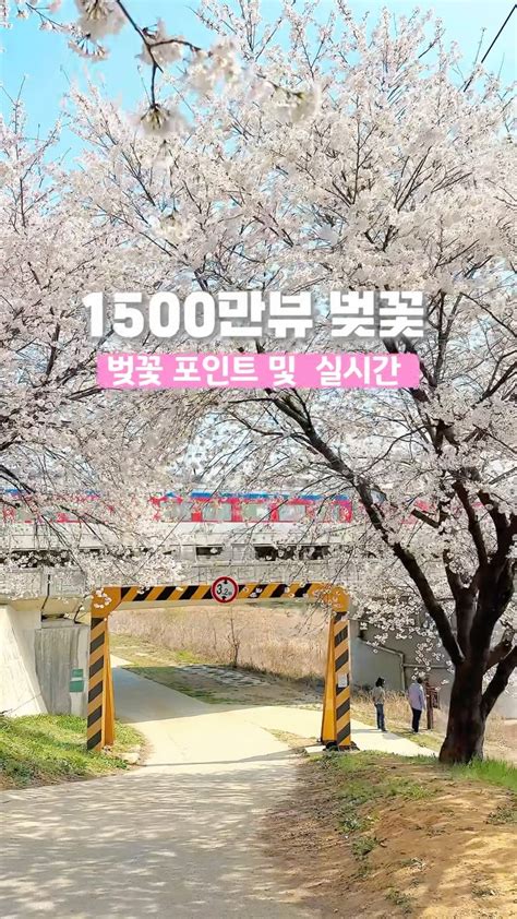 여기가 도대체 어디야 소도시 새로운 여행지 모음 9 제작지원 내가 알고 있던 부안이 이랬다고 새로운 부안의 여행포인트를 소개합니다 촬영일 20250408 1