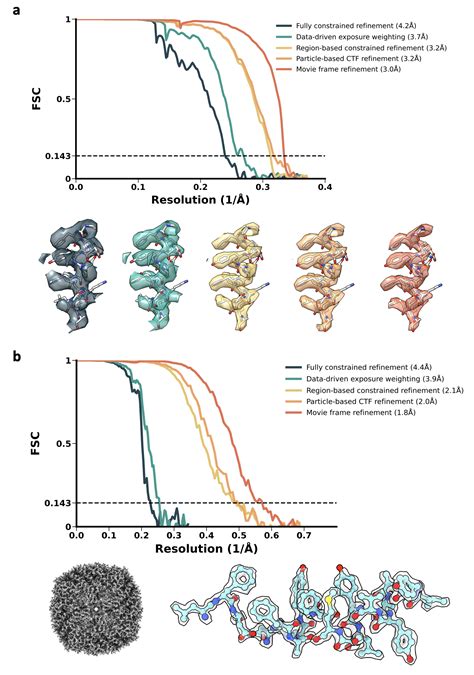 Nextpyp A Comprehensive And Scalable Platform For Single Particle Cryo Et Bartesaghi Lab