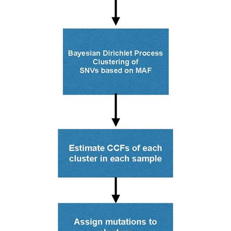 Flowchart Describing Key Steps Taken To Construct Phylogenetic Trees A