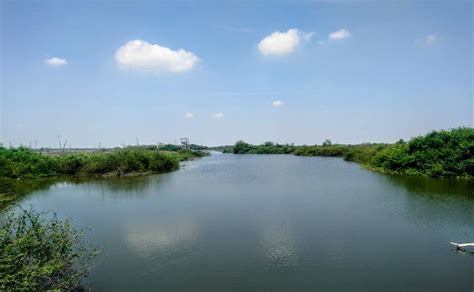 Cerro De La Pez Qué Hacer En Esta Histórica Laguna De Ébano San Luis