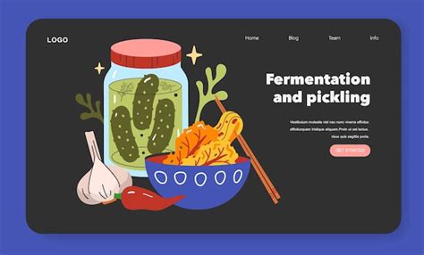 Pickling Process Vectors And Illustrations For Free Download