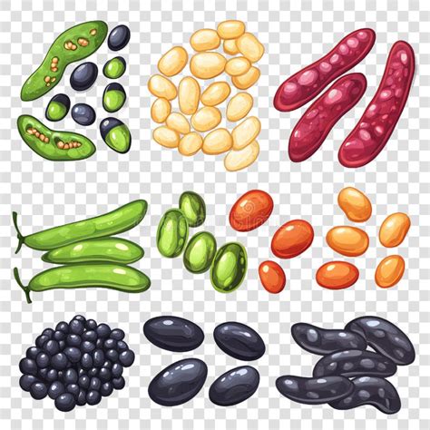 Different Beans Set Stock Illustration Illustration Of Nutritious