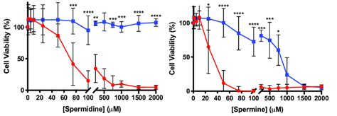 Effects Of Exogenous Polyamine Addition On Cellular Viability In Cancer Download Scientific
