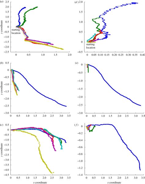 Gait Trajectories Showing The Travel Of The Centre Of Mass Over The Xy