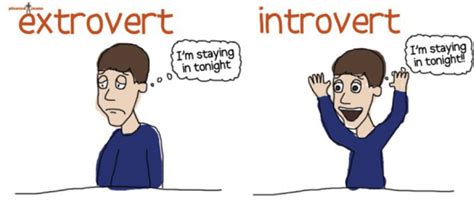 Jung S Theory Of Introvert And Extrovert Personalities