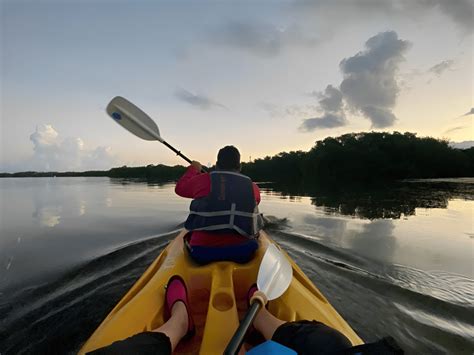 Kajakpaddling I Soluppgången Med Wayak Tour Getyourguide