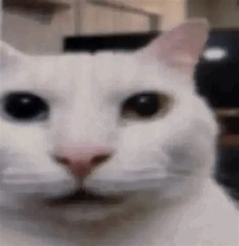 Placek Interaction Square By Gogokaled Payday 2 Mods Modworkshop