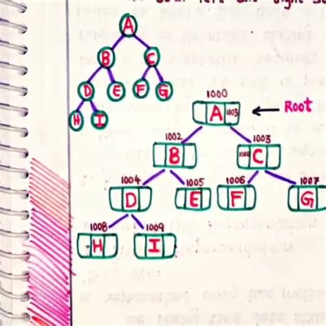 Representation Of Binary Tree In Data Structures Part 2 Laharivlogs Datastructures Trees
