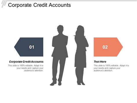 Corporate Credit Accounts Ppt Powerpoint Presentation Samples Cpb