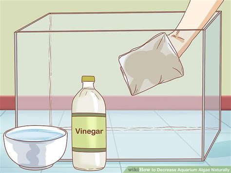 How To Decrease Aquarium Algae Naturally 12 Steps With Pictures