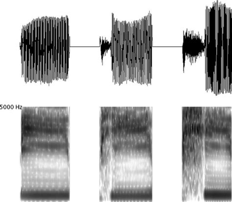 Spectrograms Of Three Syllables Differing In The First Consonant From Download Scientific