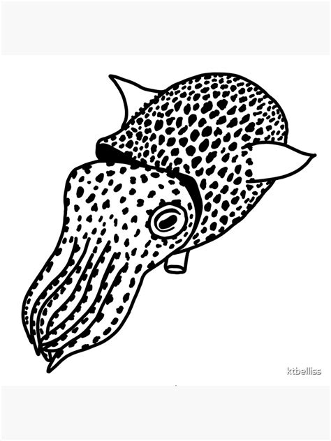 Hawaiian Bobtail Squid Poster For Sale By Ktbelliss Redbubble