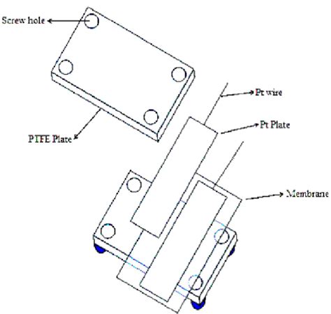 Schematic Diagram Of Cell For Measurement Of Membrane Proton