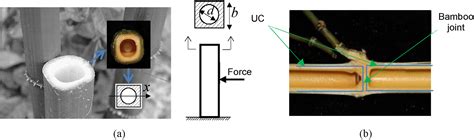 Structure Bionic Topology Design Method Based On Biological Unit Cell