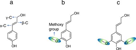 Primary Monomer Units Used For Lignin Sequence Generation A Base