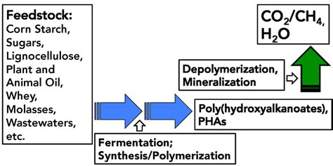 A Flow Chart Showing The Synthesis Of Biodegradable Download Scientific Diagram