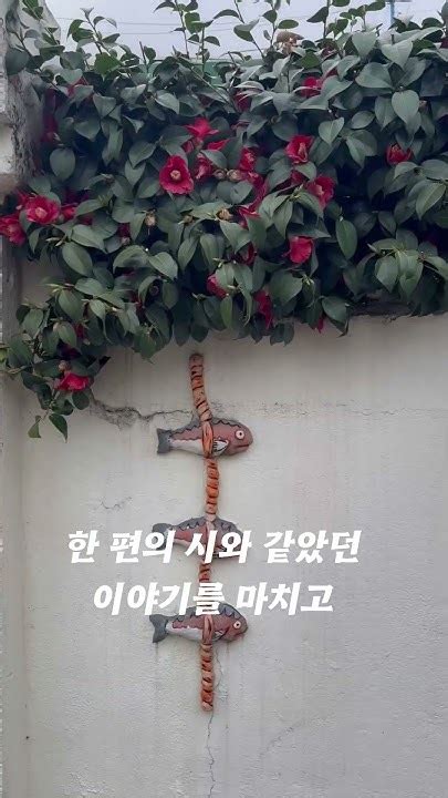 곽재구 시인과의 만남 Youtube